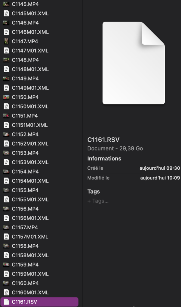 Khôi phục file bị lỗi định dạng Sony RSV - HTI Services